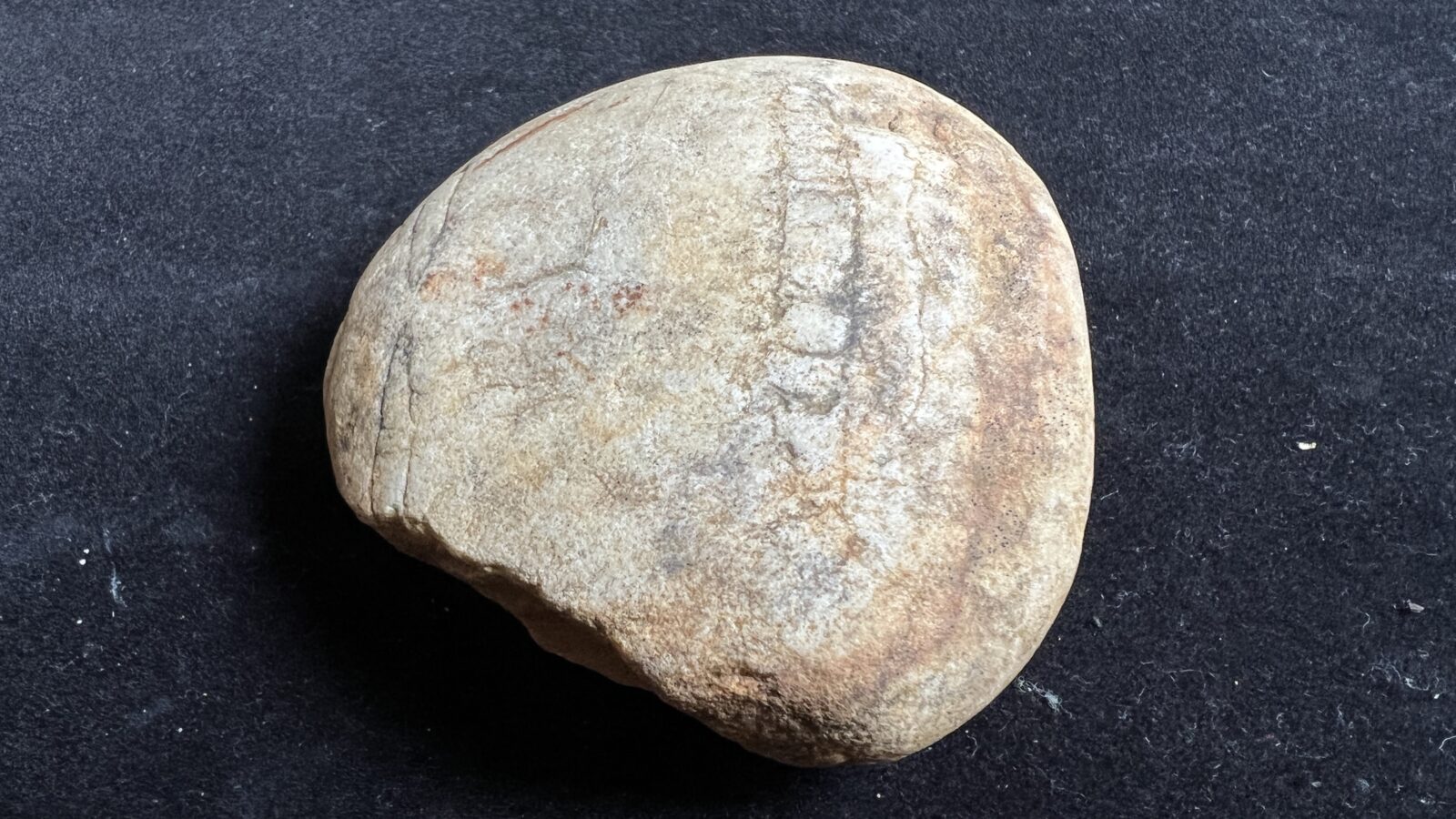 N282 – Neolithic Rock Art (British Find) – Stephen Robert Kuta