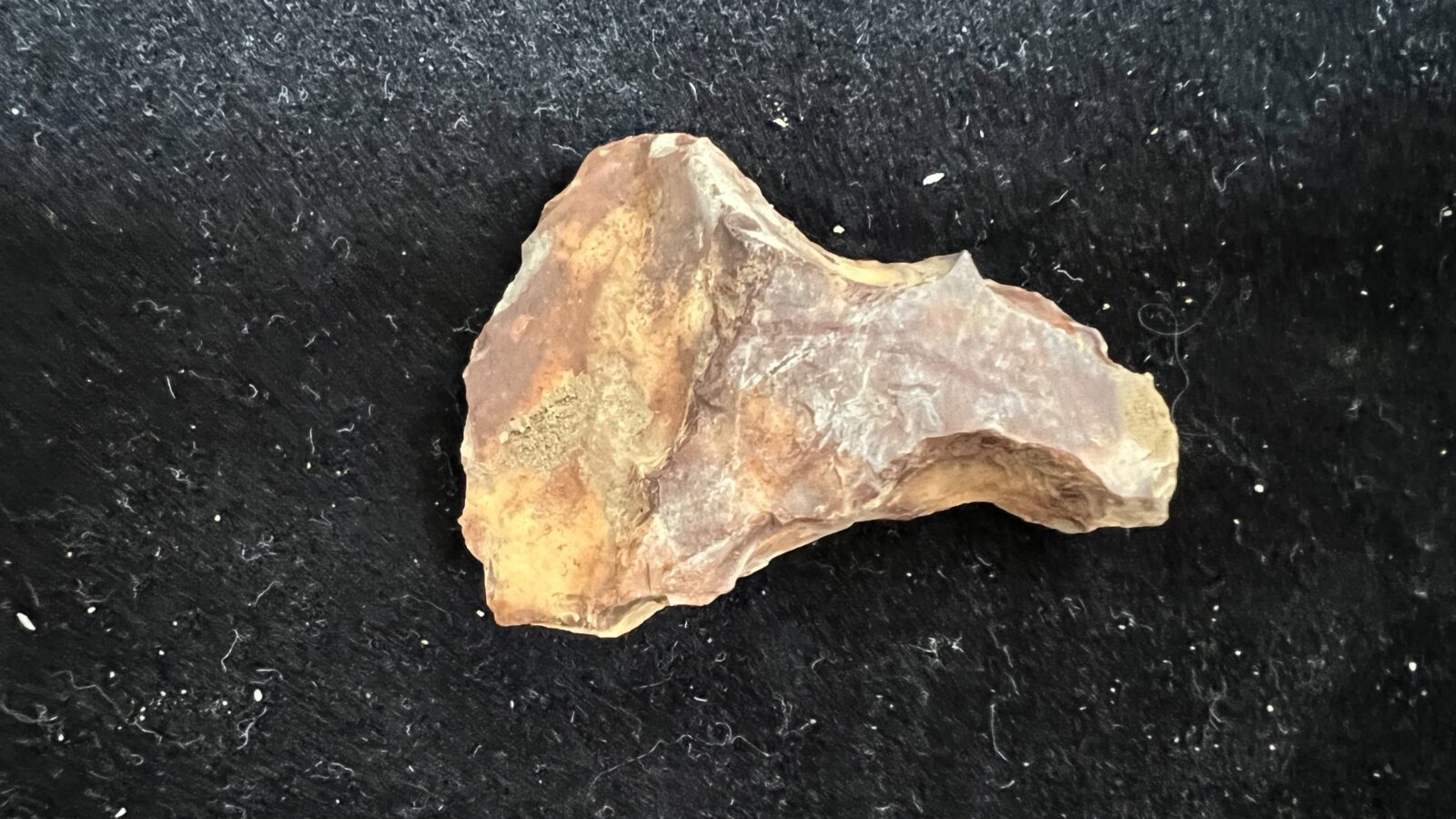 N286 – Neolithic Tranchet Spear / Arrow (British Find) – Stephen Robert ...